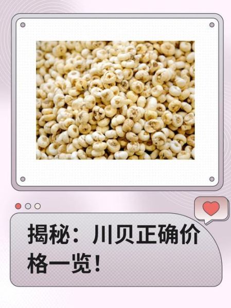 川贝价格多少一克_川贝为什么这么贵-第1张图片-山城妙识 川贝价格多少一克_川贝为什么这么贵-第1张图片-山城妙识