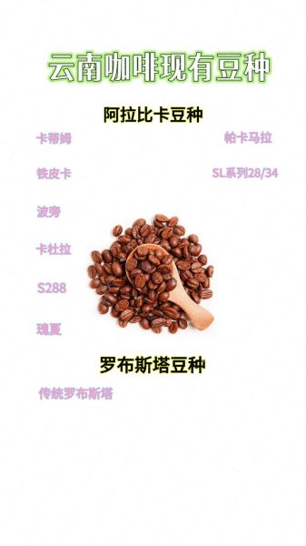 咖啡豆种植条件_咖啡豆种植方法-第3张图片-山城妙识