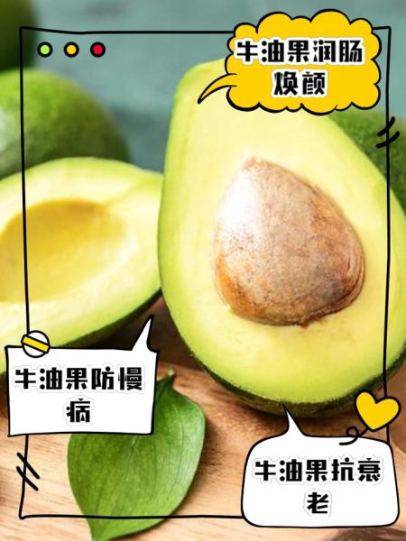 吃牛油果的好处与禁忌_哪些人不适合吃牛油果-第1张图片-山城妙识 吃牛油果的好处与禁忌_哪些人不适合吃牛油果-第1张图片-山城妙识