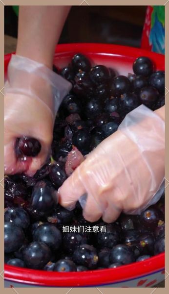 自制葡萄酒的正确方法_自酿葡萄酒多久能喝-第3张图片-山城妙识