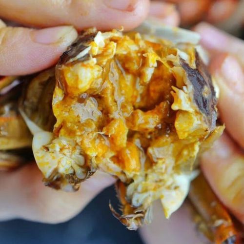 盘锦河蟹批发多少钱一斤_盘锦河蟹价格走势-第2张图片-山城妙识