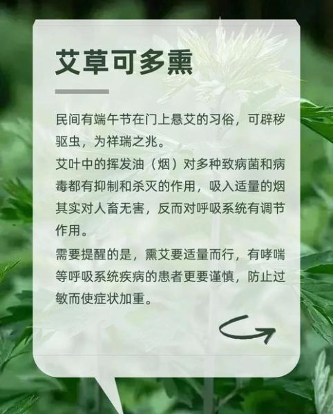 艾草的功效与作用_艾草哪些人不能用-第2张图片-山城妙识