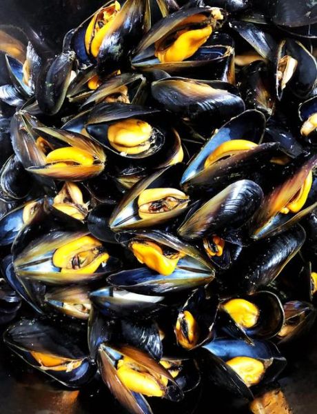 海虹蒸多久才熟_海虹蒸多长时间能熟-第1张图片-山城妙识