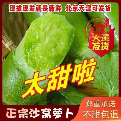 沙窝萝卜怎么挑选_沙窝萝卜价格多少钱一斤-第2张图片-山城妙识 沙窝萝卜怎么挑选_沙窝萝卜价格多少钱一斤-第2张图片-山城妙识