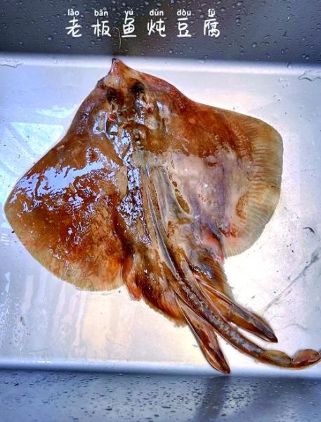 老板鱼怎么处理_老板鱼怎么清洗去腥-第3张图片-山城妙识 老板鱼怎么处理_老板鱼怎么清洗去腥-第3张图片-山城妙识
