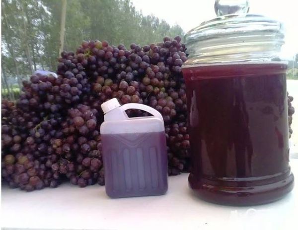 自酿葡萄酒怎么做_葡萄酒发酵全过程-第3张图片-山城妙识