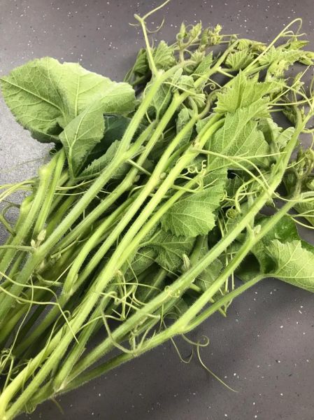 南瓜苗怎么剥_南瓜苗剥皮技巧-第1张图片-山城妙识 南瓜苗怎么剥_南瓜苗剥皮技巧-第1张图片-山城妙识