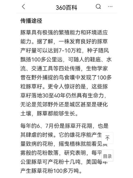 蒿草过敏几月份最严重_如何提前预防-第2张图片-山城妙识 蒿草过敏几月份最严重_如何提前预防-第2张图片-山城妙识