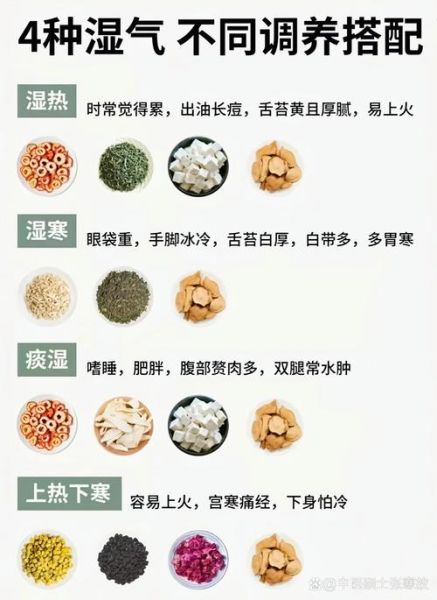 湿热体质吃什么好_湿热体质如何调理-第1张图片-山城妙识