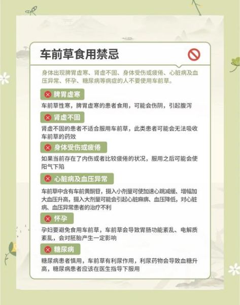 车前草什么人不能吃_车前草禁忌人群有哪些-第2张图片-山城妙识 车前草什么人不能吃_车前草禁忌人群有哪些-第2张图片-山城妙识