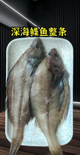鲽鱼是深海鱼吗_鲽鱼是淡水鱼吗-第2张图片-山城妙识