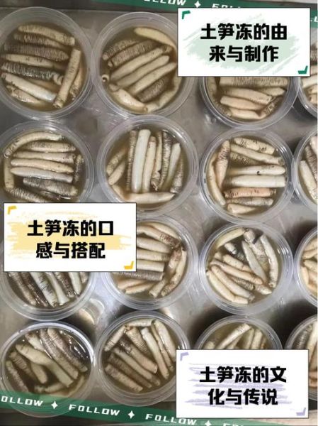 沙虫冻为什么叫土笋冻_土笋冻和沙虫的关系-第3张图片-山城妙识