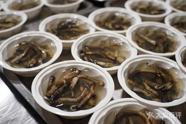 沙虫冻为什么叫土笋冻_土笋冻和沙虫的关系-第1张图片-山城妙识