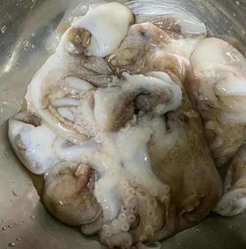 八爪鱼怎么清洗_八爪鱼怎么焯水-第1张图片-山城妙识 八爪鱼怎么清洗_八爪鱼怎么焯水-第1张图片-山城妙识