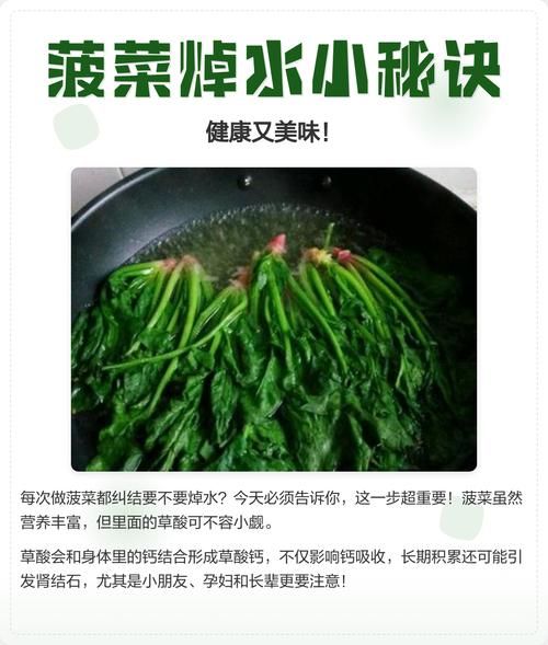菠菜需要焯水吗_菠菜焯水多久-第1张图片-山城妙识