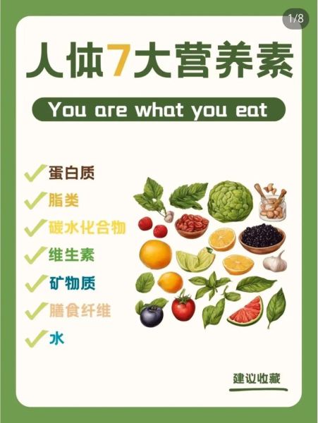 食疗养生的重要性_食疗养生的意义-第2张图片-山城妙识