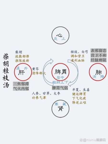 柴胡桂枝干姜汤方歌功效_适用人群-第1张图片-山城妙识 柴胡桂枝干姜汤方歌功效_适用人群-第1张图片-山城妙识
