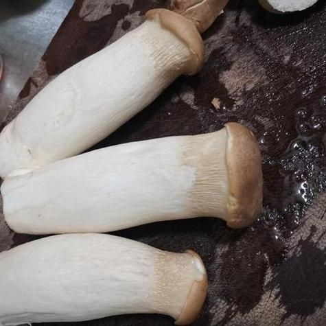 鸡腿菇图片大全大图唯美_如何拍出高清质感-第2张图片-山城妙识