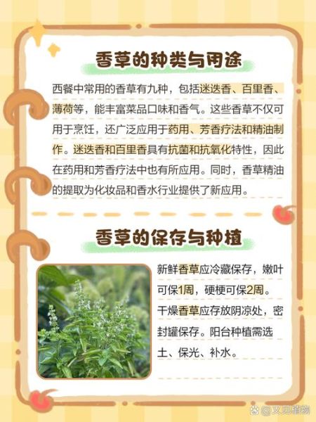 香草味是什么提取的_香草味是天然的吗-第1张图片-山城妙识