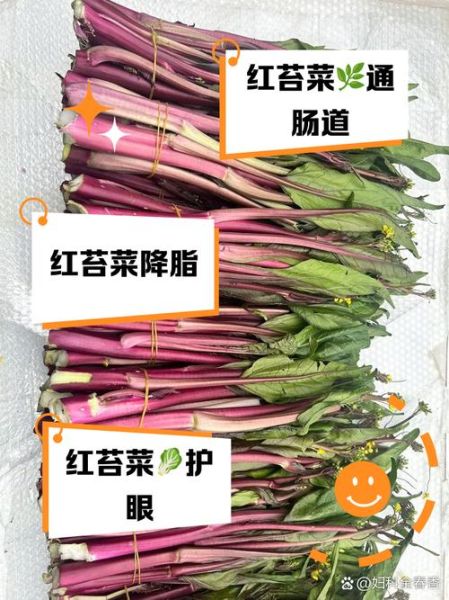 红菜苔的营养价值_红菜苔怎么吃最营养-第1张图片-山城妙识