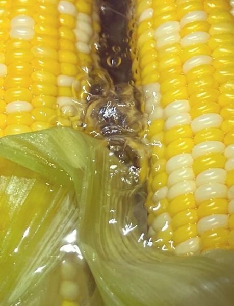 煮玉米要多久_甜玉米煮多久才熟-第3张图片-山城妙识