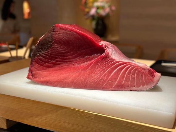 金枪鱼高清图哪里找_金枪鱼高清图怎么拍-第2张图片-山城妙识