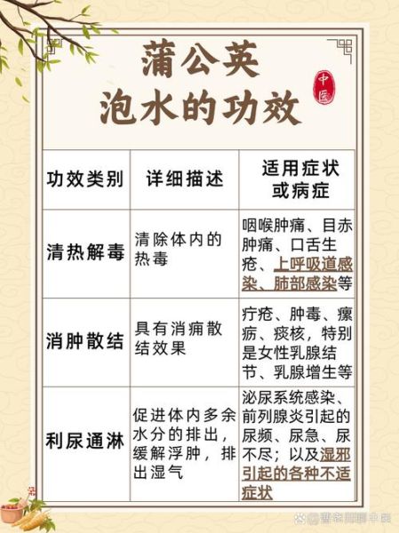 经常蒲公英泡水喝好吗_长期喝蒲公英水有什么副作用-第1张图片-山城妙识