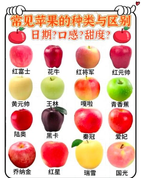 苹果品种大全图片_哪种苹果最好吃-第2张图片-山城妙识