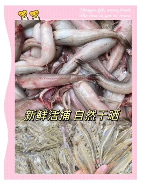 龙头鱼干怎么晒_龙头鱼干怎么做好吃-第1张图片-山城妙识