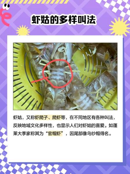 虾姑怎么剥壳_虾姑剥壳最快方法-第2张图片-山城妙识 虾姑怎么剥壳_虾姑剥壳最快方法-第2张图片-山城妙识