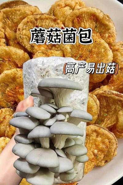 秀珍菇怎么种植_秀珍菇的营养价值-第3张图片-山城妙识