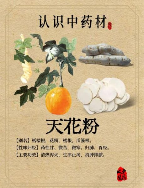 天花粉的功效与作用禁忌_孕妇能吃吗-第1张图片-山城妙识