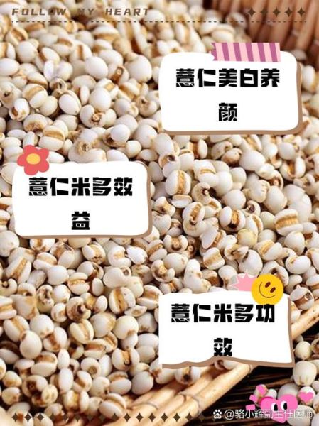 薏仁米怎么吃减肥_薏仁米功效与作用禁忌-第3张图片-山城妙识