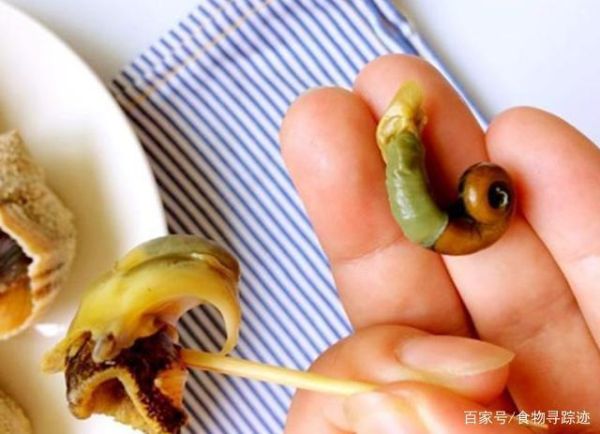 海螺尾部是黄还是屎_能吃吗-第3张图片-山城妙识 海螺尾部是黄还是屎_能吃吗-第3张图片-山城妙识