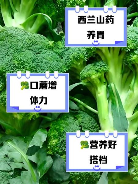 西兰花和什么搭配最好_西兰花最佳搭配食材-第2张图片-山城妙识 西兰花和什么搭配最好_西兰花最佳搭配食材-第2张图片-山城妙识