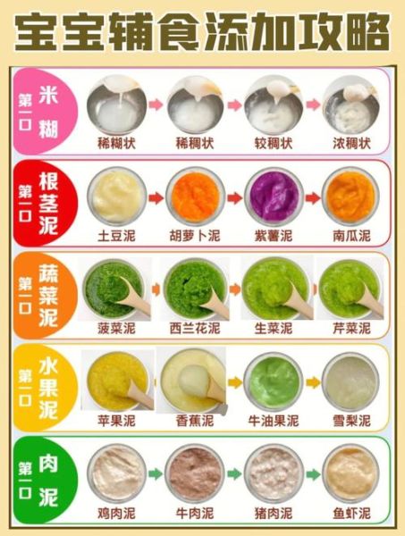 宝宝辅食添加顺序_几个月开始吃辅食-第3张图片-山城妙识