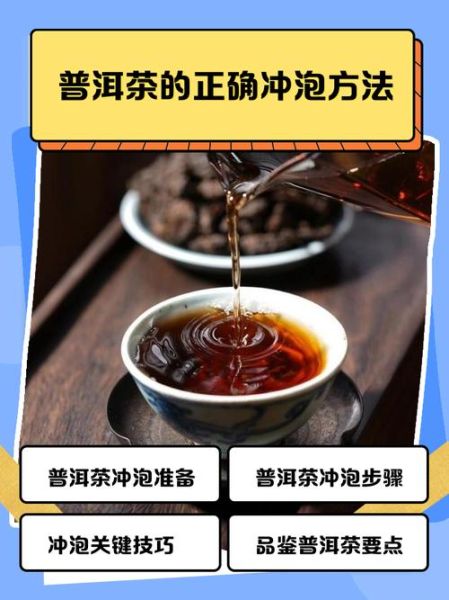 生普洱茶怎么泡_生普洱茶的正确冲泡方法-第1张图片-山城妙识