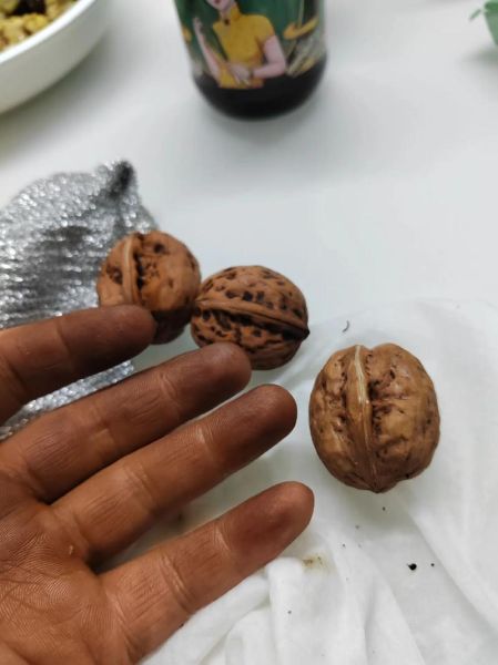 剥核桃手黑怎么洗_核桃皮染黑手最快清洗法-第1张图片-山城妙识