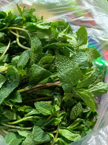 新鲜薄荷叶怎么吃最好_薄荷叶的吃法大全-第1张图片-山城妙识