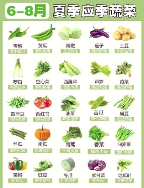 常见蔬菜品种名称大全_如何快速识别蔬菜种类-第2张图片-山城妙识 常见蔬菜品种名称大全_如何快速识别蔬菜种类-第2张图片-山城妙识