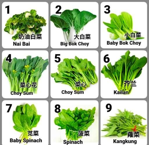 常见蔬菜品种名称大全_如何快速识别蔬菜种类-第3张图片-山城妙识 常见蔬菜品种名称大全_如何快速识别蔬菜种类-第3张图片-山城妙识