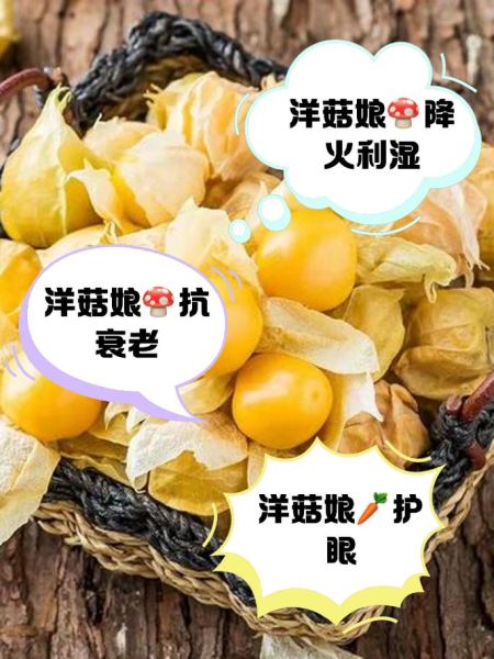 洋姑娘是什么水果_洋姑娘怎么吃最好吃-第3张图片-山城妙识