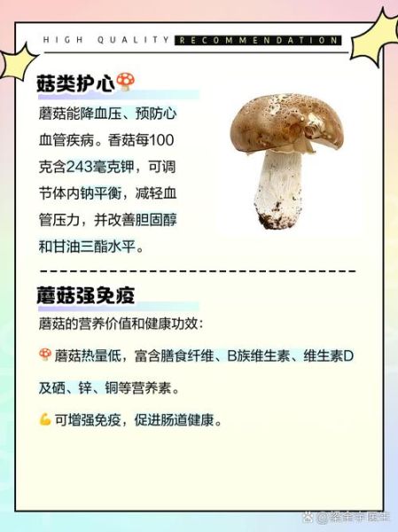 炒蘑菇用焯水吗_蘑菇焯水好处与坏处-第1张图片-山城妙识 炒蘑菇用焯水吗_蘑菇焯水好处与坏处-第1张图片-山城妙识