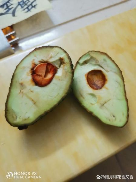 牛油果难吃到怀疑人生_为什么牛油果这么难吃-第1张图片-山城妙识 牛油果难吃到怀疑人生_为什么牛油果这么难吃-第1张图片-山城妙识