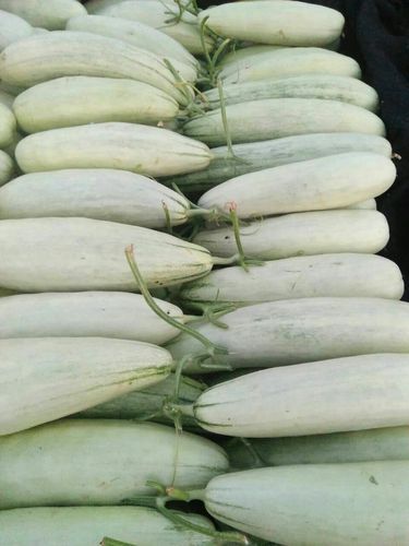 羊角蜜甜瓜怎么挑_羊角蜜甜瓜热量高吗-第3张图片-山城妙识