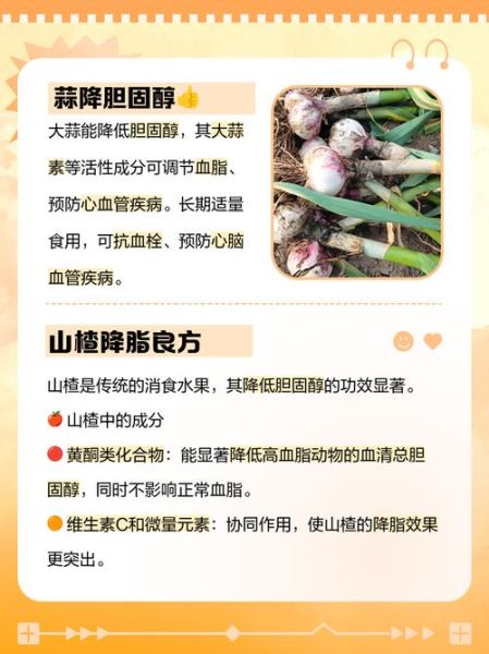 怎样降低胆固醇最有效_吃什么食物降胆固醇最快-第3张图片-山城妙识 怎样降低胆固醇最有效_吃什么食物降胆固醇最快-第3张图片-山城妙识