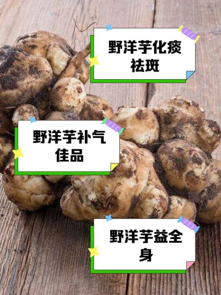 洋芋头能降血糖吗_洋芋头怎么吃最健康-第1张图片-山城妙识