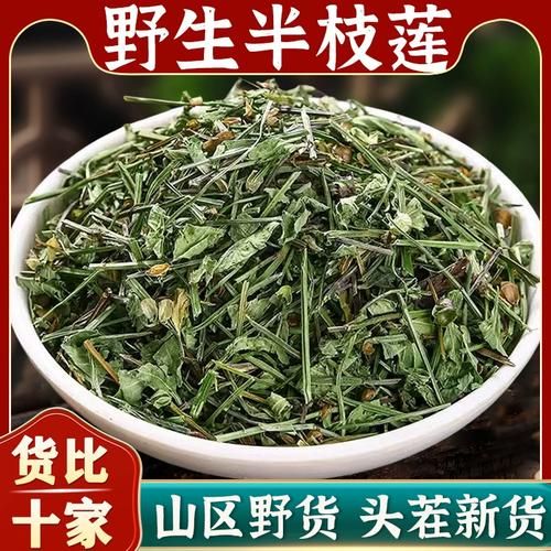 半枝莲和白花蛇草主治什么病_功效与禁忌-第1张图片-山城妙识 半枝莲和白花蛇草主治什么病_功效与禁忌-第1张图片-山城妙识