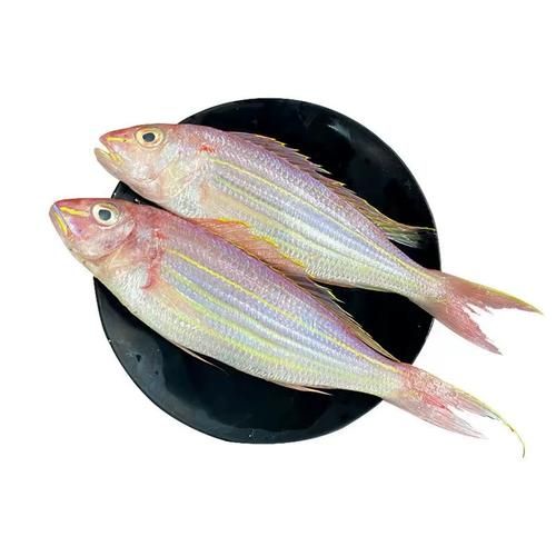 红杉鱼是海鱼还是淡水鱼_如何区分-第1张图片-山城妙识 红杉鱼是海鱼还是淡水鱼_如何区分-第1张图片-山城妙识