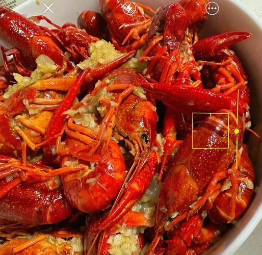 蒜香大龙虾怎么做_蒜香大龙虾做法步骤-第3张图片-山城妙识